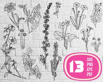 Floral Elements Svgwildflower SVG Bundle Botanical Elements - Etsy