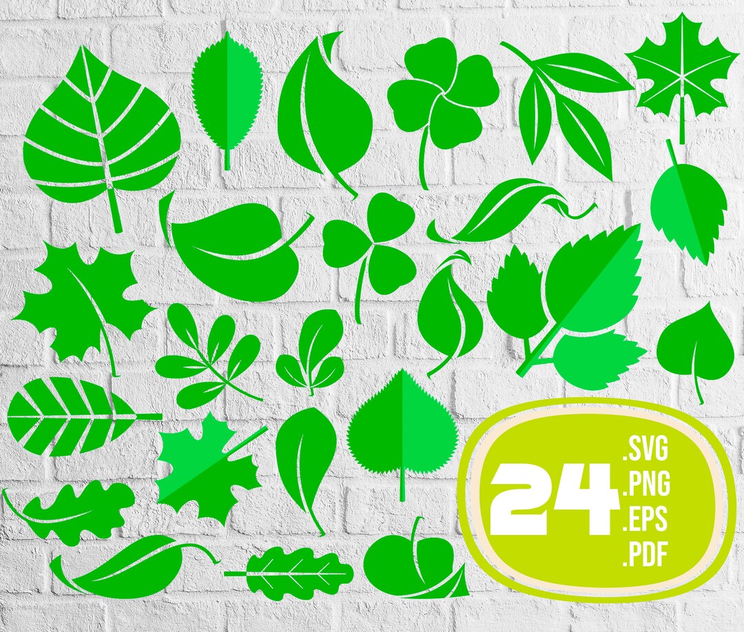 Hoja svg,Hojas Svg, Hoja de árbol svg archivo, plantas svg,Vector ...
