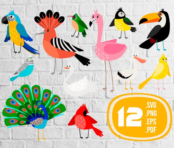 Exotic Birds SVG Exotic Birds PNG Exotic Birds Vector | Etsy
