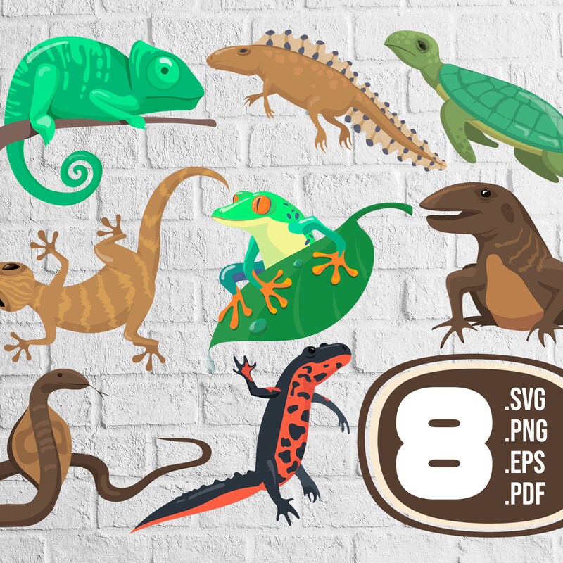 Reptile Clipart - Etsy