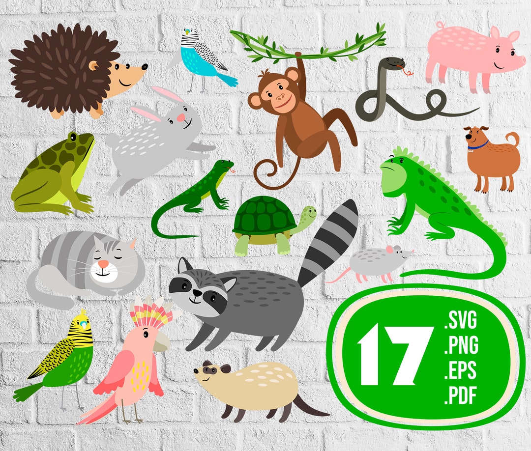 Cartoon Animals Svg,animals for Kids Svg,pig Svg,cat Svg,parrot Svg ...
