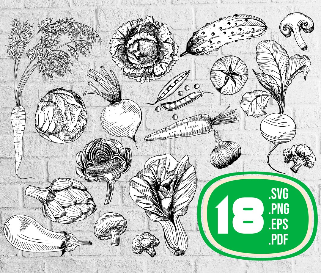 Vegetables Svg, Vegetable Clipart, Veggies Set ,beet ,broccoli ,carrot ...