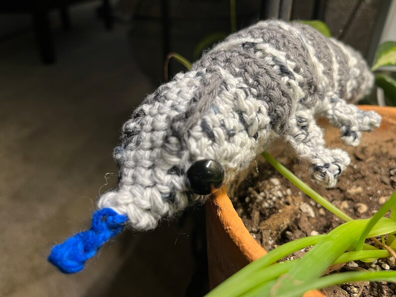 Skink Blue-tongued Amigurumi Custom Stuffy Plush - Etsy
