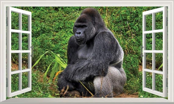 Gorilla Animal Zoo Magic Window Wall Art Self Adhesive Sticker - Etsy