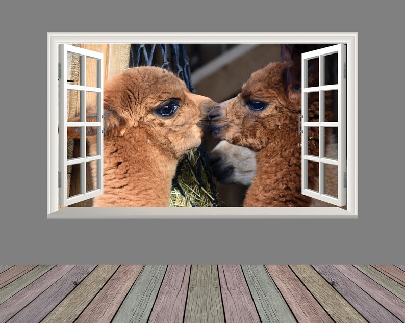 Alpaca Animals Magic Window Wall Art Self Adhesive Wall Sticker Decal ...