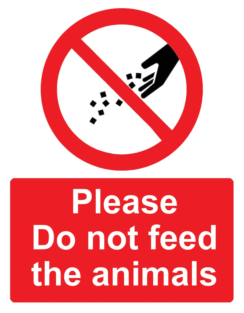 Red Sign Please Do Not Feed the Animals Prohibited Feeding Animals ...