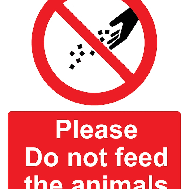 Do Not Feed Sign - Etsy