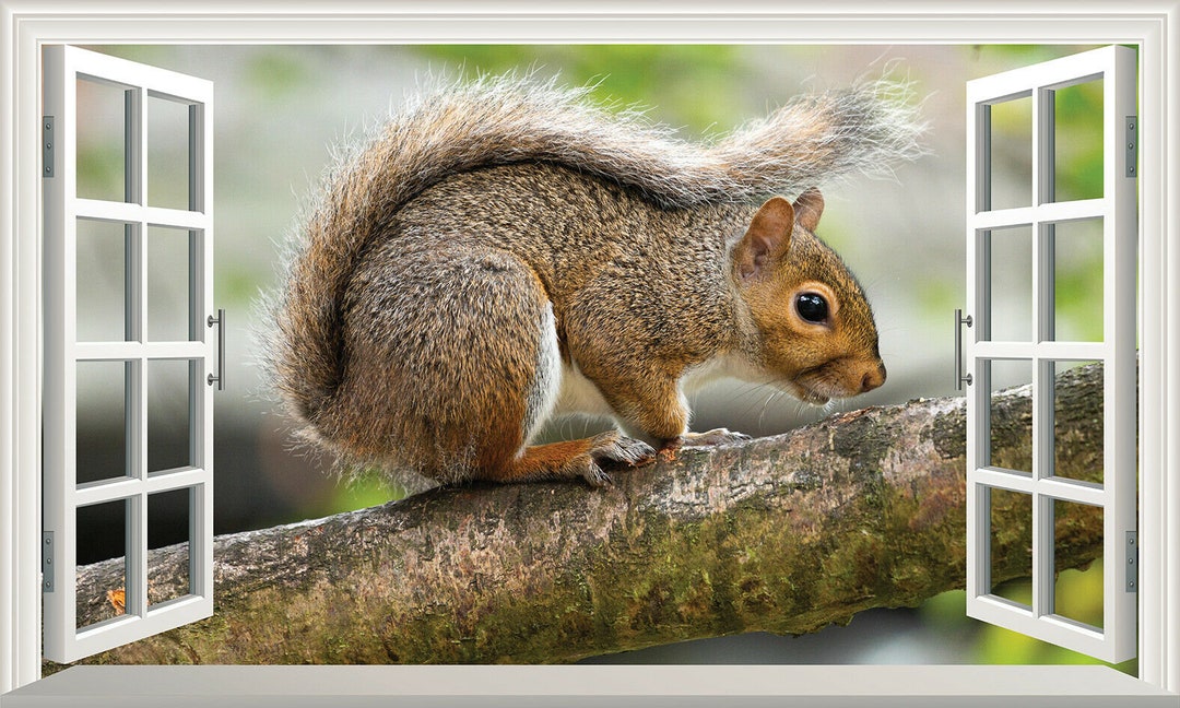 Squirrel Animal Magic Window Wall Art Self Adhesive Sticker Decal Print ...