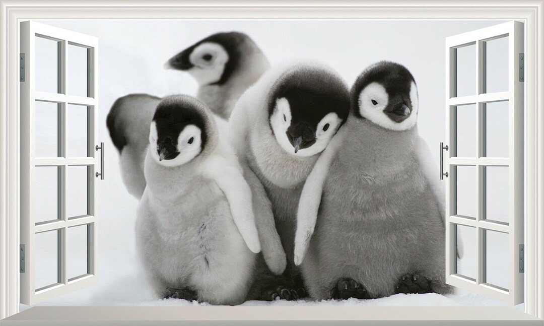 Animal Baby Penguins Penguin Magic Window Wall Art Self Adhesive ...