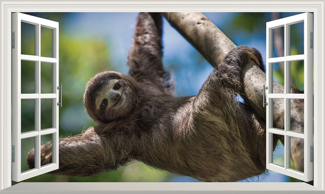 Funny Sloth Animal Picture Magic Window Wall Art Self Adhesive Sticker ...