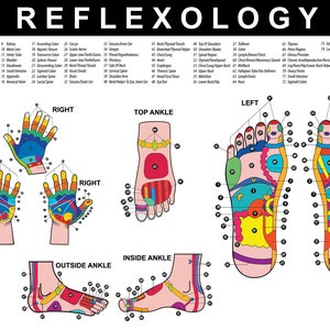 Top of Foot Reflexology Chart - Etsy
