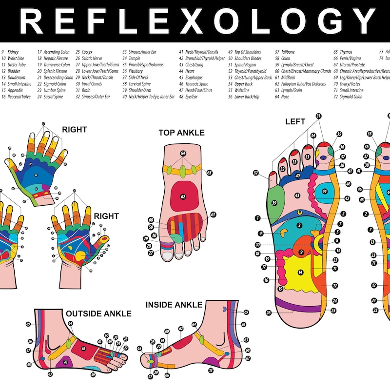 Reflexology Poster - Etsy