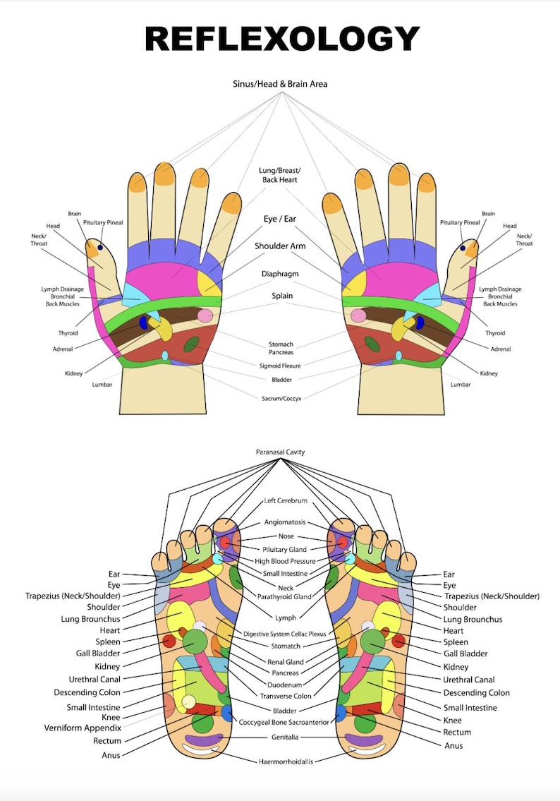 Poster Educational Learning Aid Feet Hands Reflexology Points Reference ...