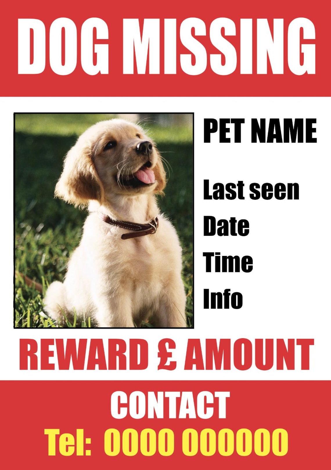 Missing Dog Reward Personalised Photo Contact Details Last Seen Info ...