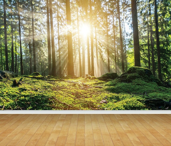 Forest Trees Tree Canopy Wallpaper Mural for Bedroom Playroom | Etsy