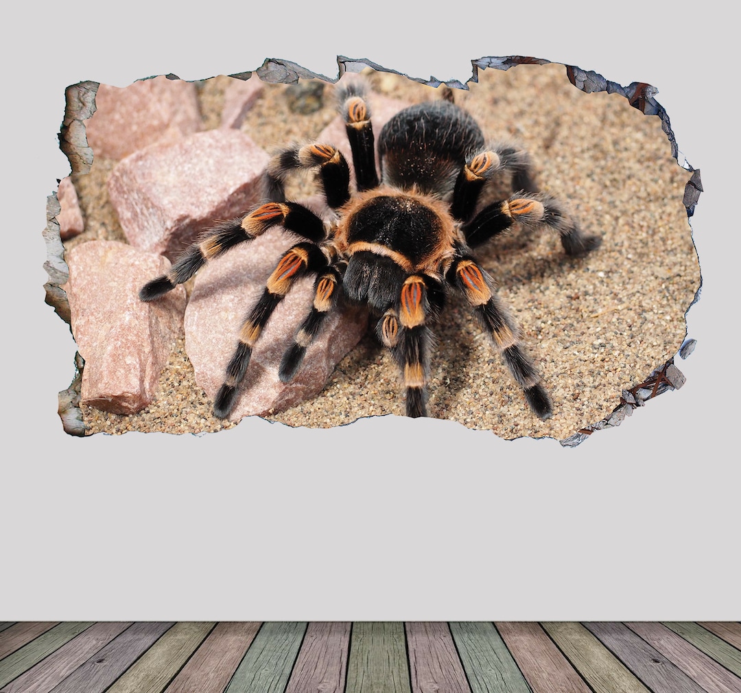 Large Arachnid Spider Tarantula Wall Smash Crack Art Self Adhesive ...