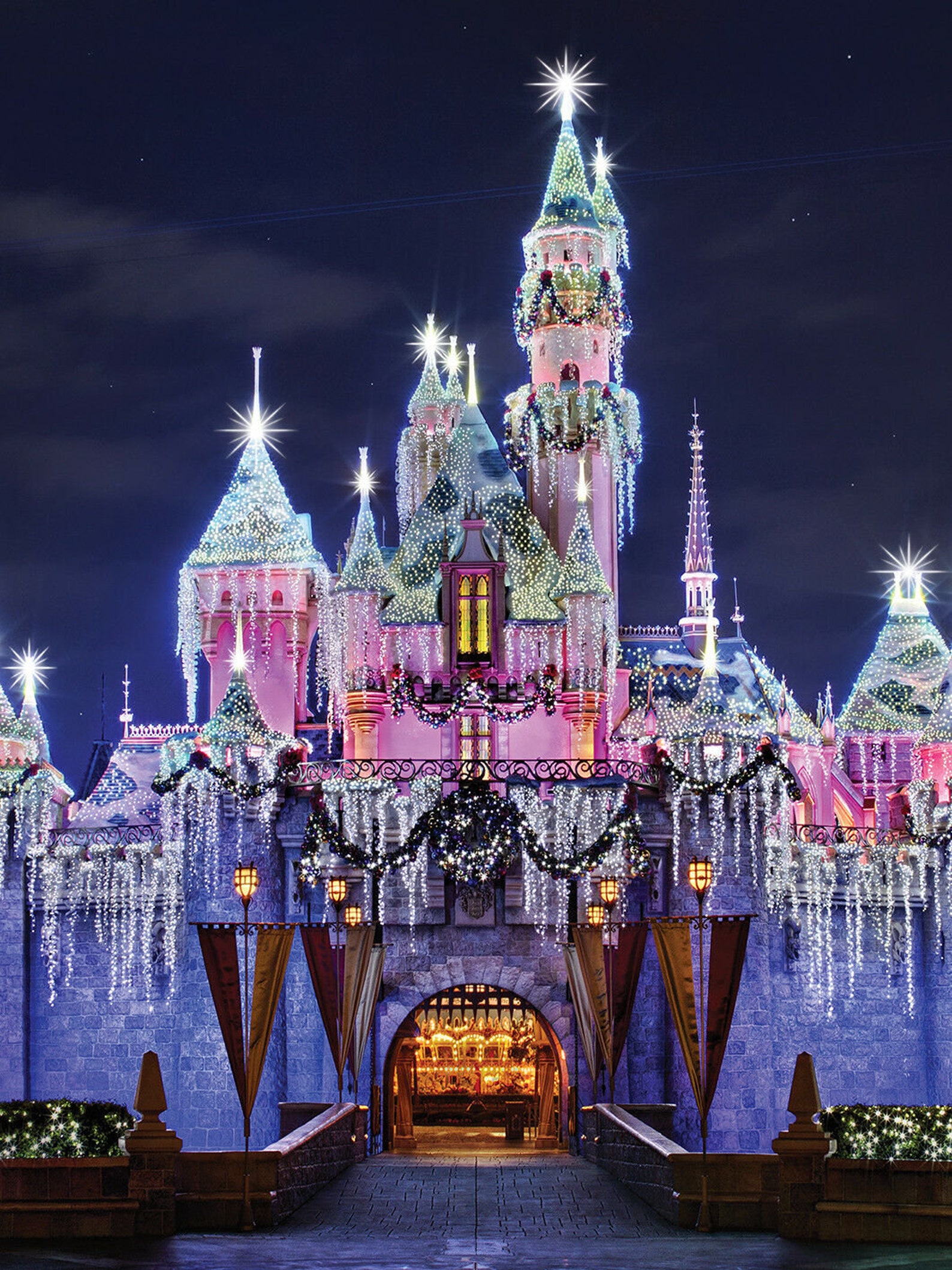 Disney Cinderella Castle Theme LARGE Party Backdrop 1.5m wide | Etsy