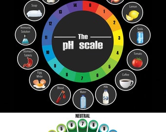 Ph Scale Poster - Etsy
