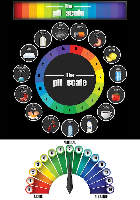 Ph Scale For Kids