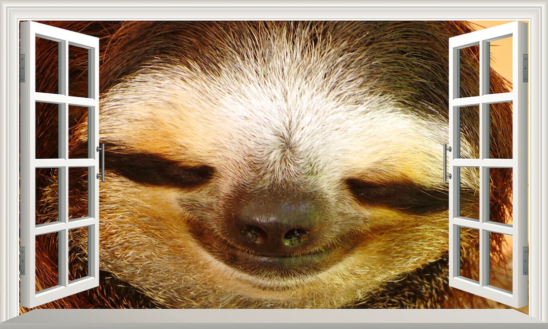 Funny Sloth Animal Picture Magic Window Wall Art Self Adhesive Sticker ...