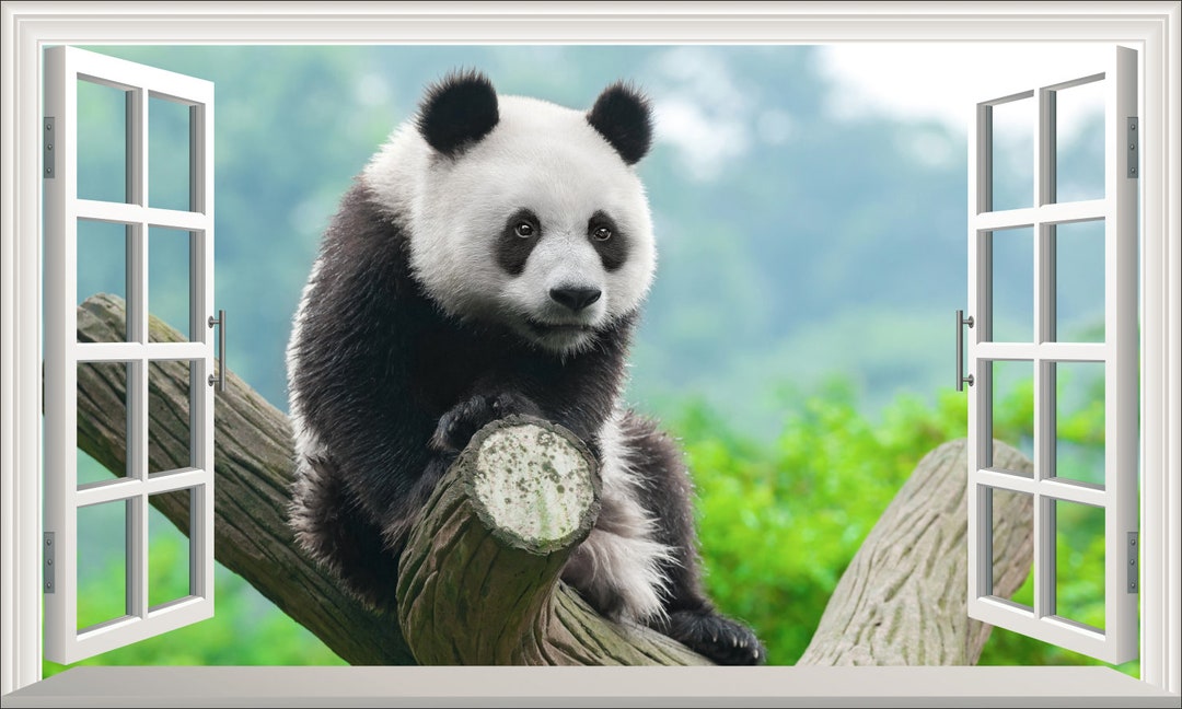 Panda Animal Zoo Magic Window Wall Art Self Adhesive Sticker Decal ...