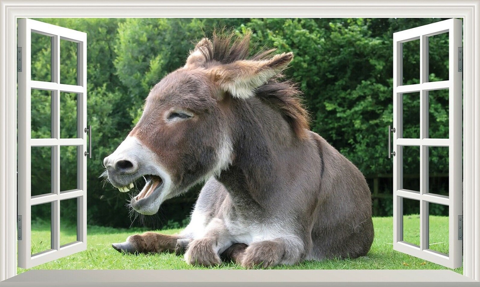 Donkey Animal Zoo Magic Window Wall Art Self Adhesive Sticker Decal ...