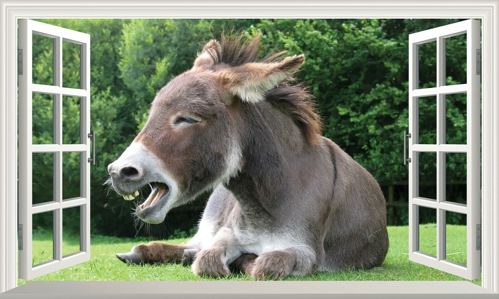 Donkey Animal Zoo Magic Window Wall Art Self Adhesive Sticker Decal ...