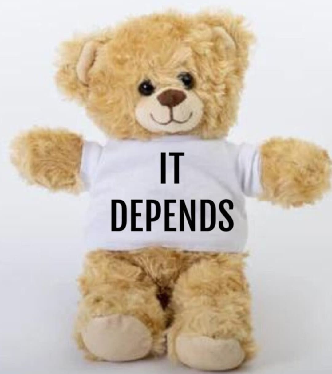 Funny Attorney Gift, Teddy Bear for Lawyer, New Lawyer Bear, Paralegal ...