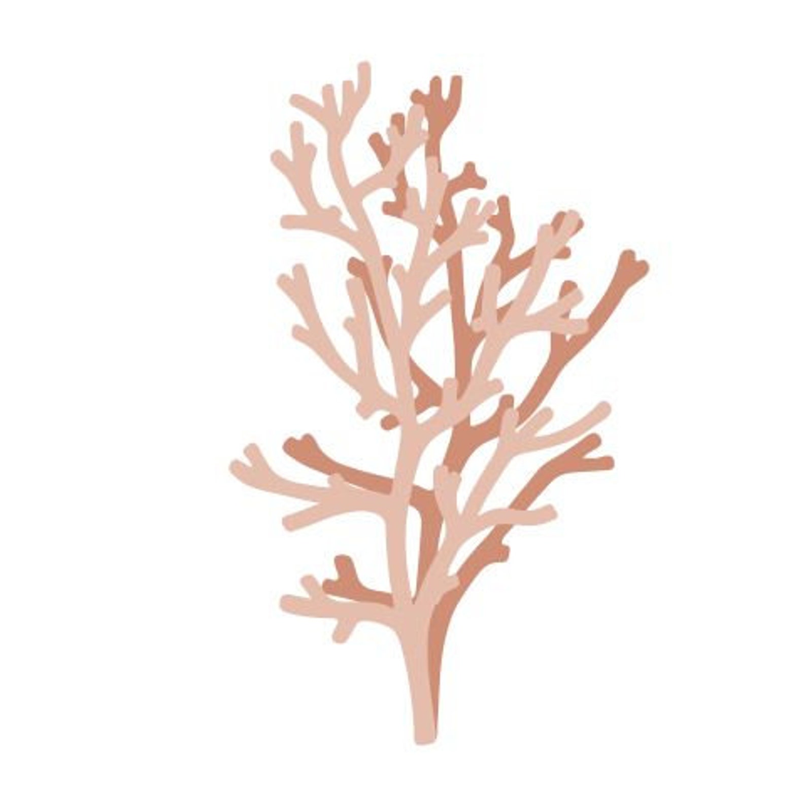 Svg Sea Moss, Sea Moss PNG, Digital Download, Sea Moss JPEG, Instant ...