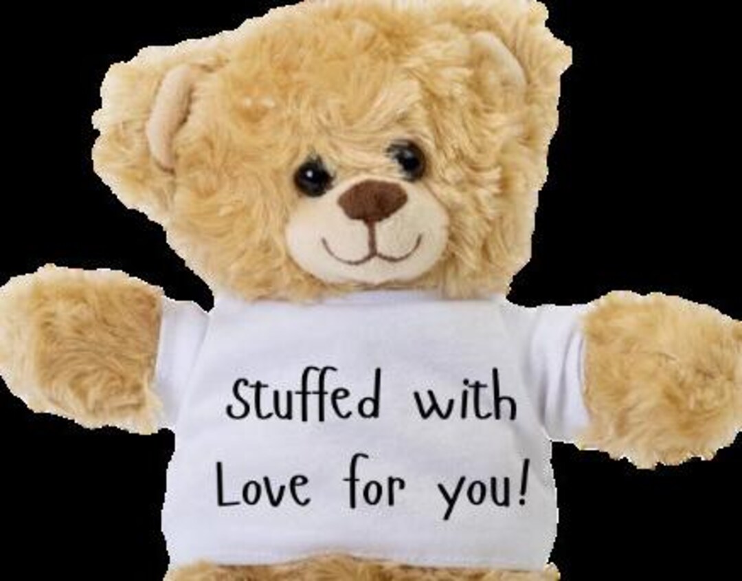 Love Teddy Bear, Cute Small Bear, Stuffed With Love for You, Love You Gift, Bear Hugs, Funny ...