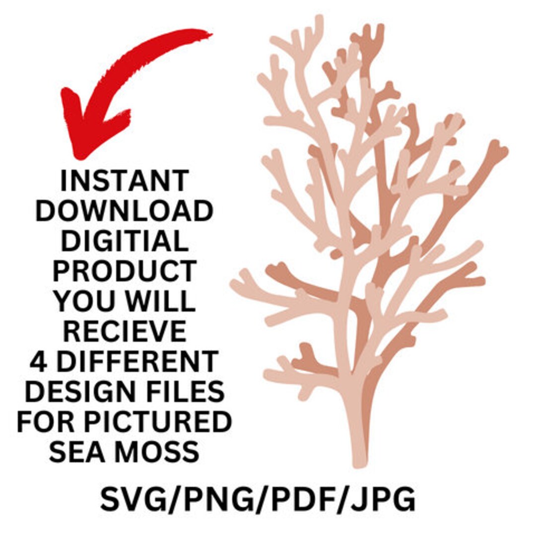 Svg Sea Moss, Sea Moss PNG, Digital Download, Sea Moss JPEG, Instant ...