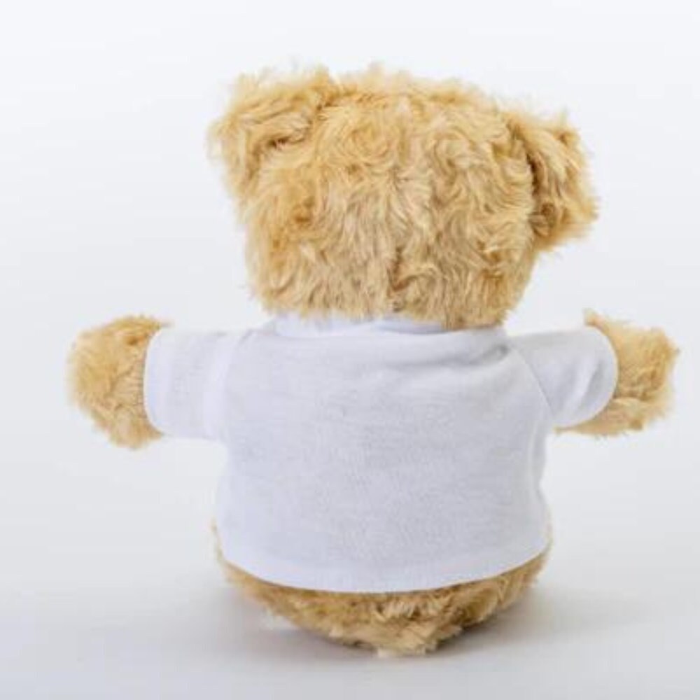 Happy Bear-thday, Lawyer, Teddy Bear, Birthday, Cute Stuffed Bear, Best ...
