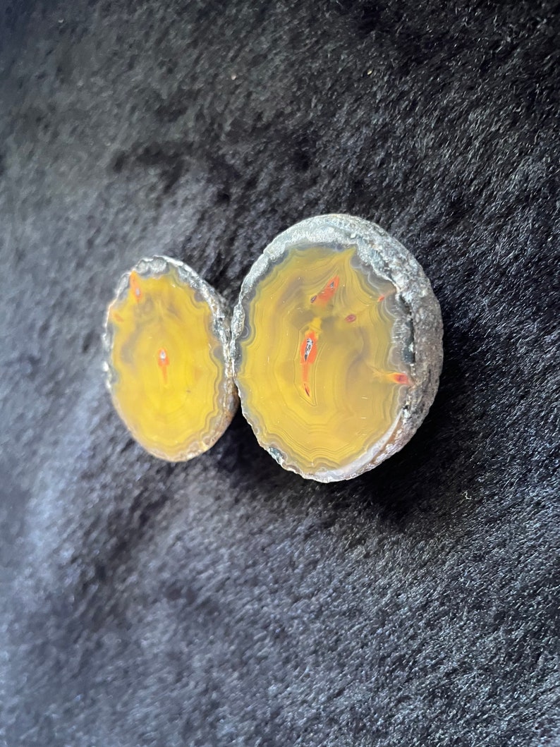 Crystal Agate Geode/fighting Blood Agate/warring State Agate Polished ...