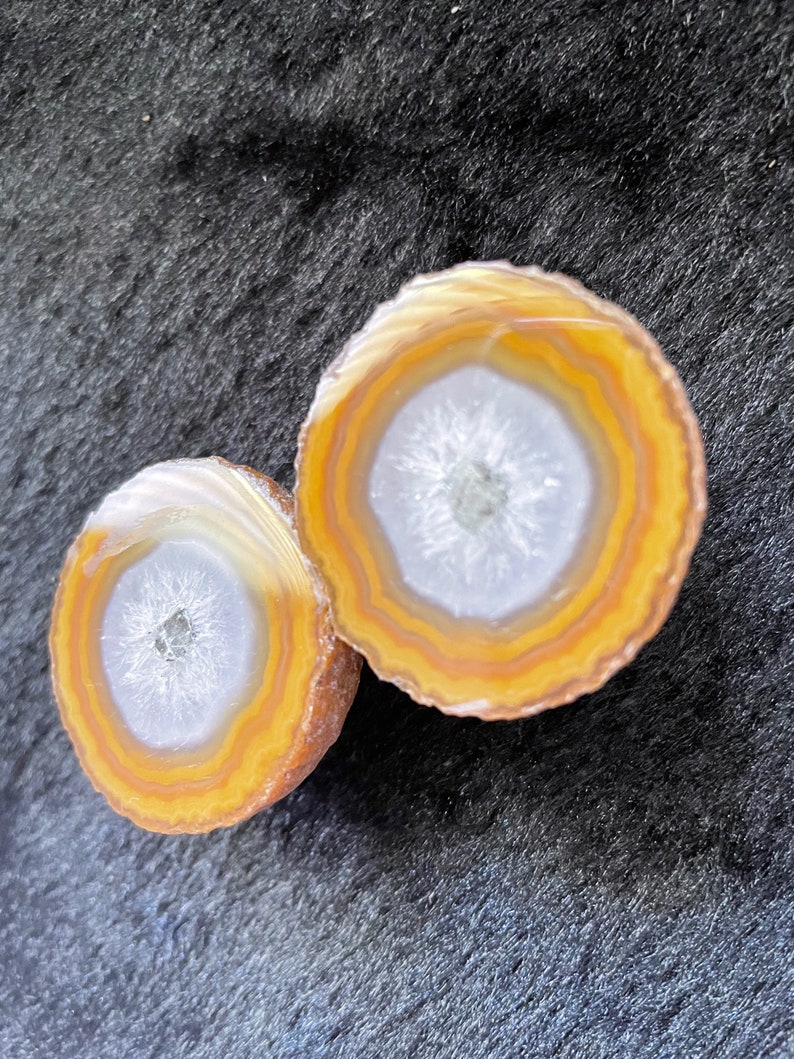 Crystal Agate Geode/fighting Blood Agate/warring State Agate Polished ...