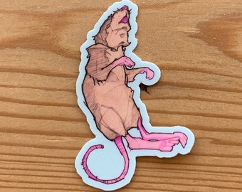 Taxidermy Sticker - Etsy
