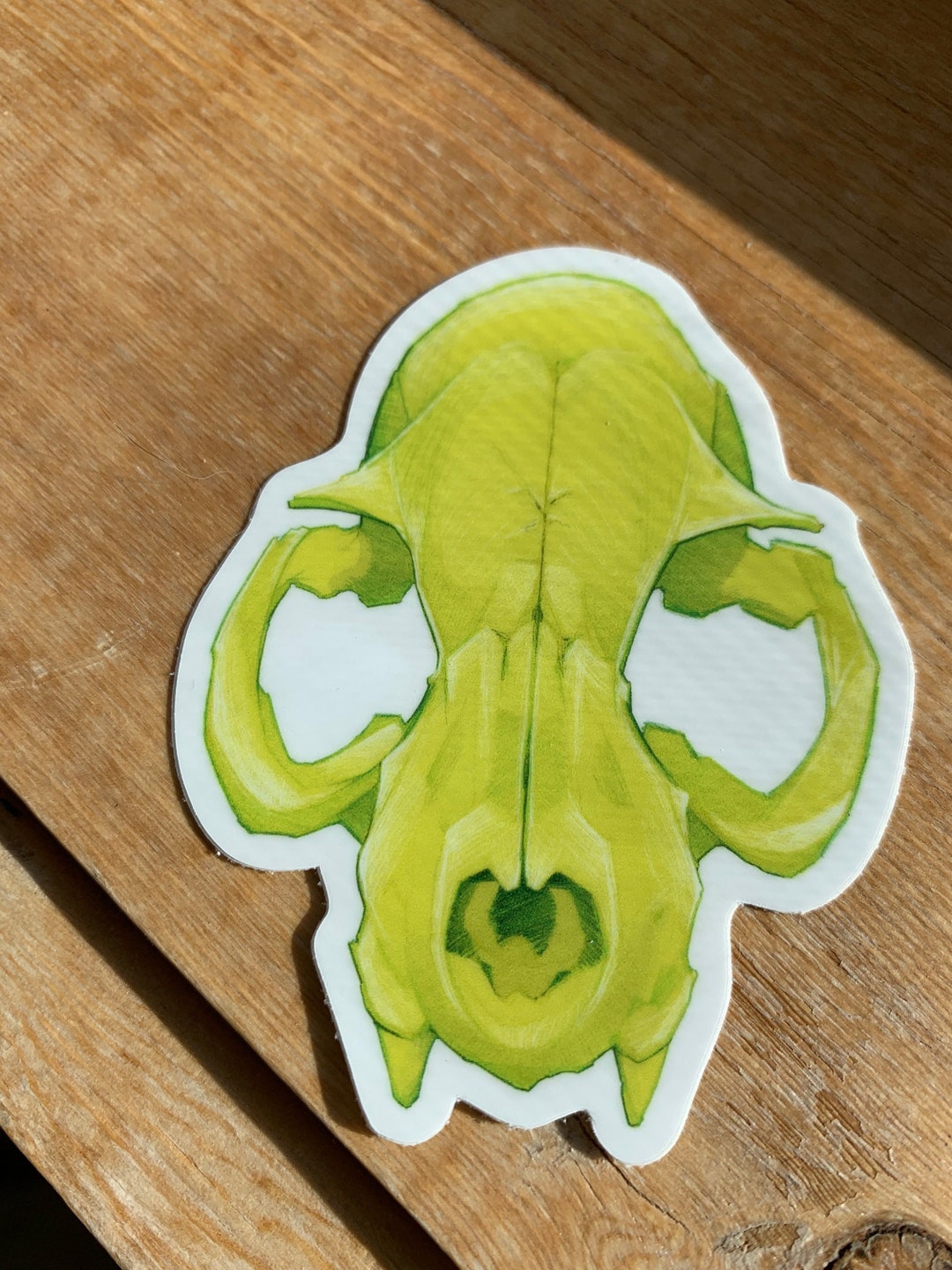 Green Cat Skull Sticker Animal Sticker Nature Sticker Phone Sticker ...