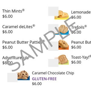 Beautiful Girl Scout Cookies Business Cards 2024 - Etsy