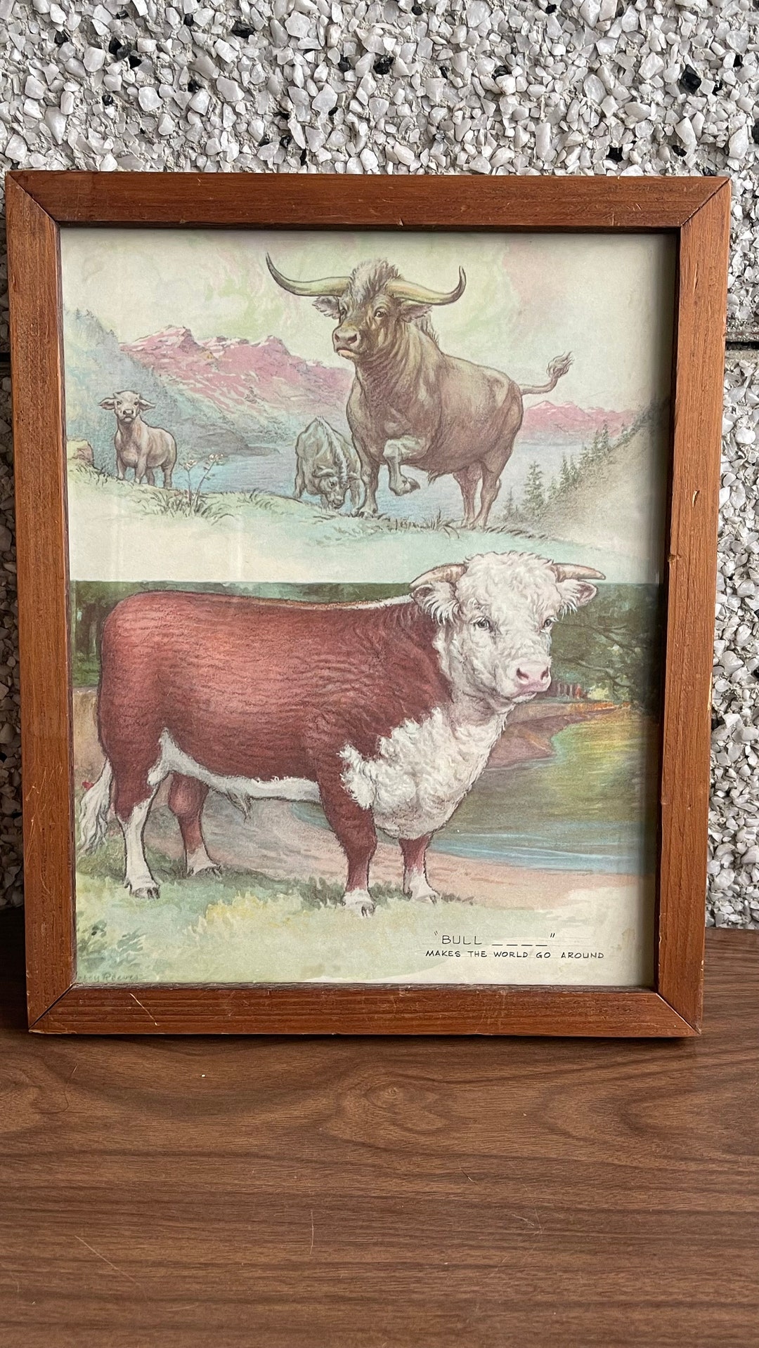 Vintage Cow Print - Etsy