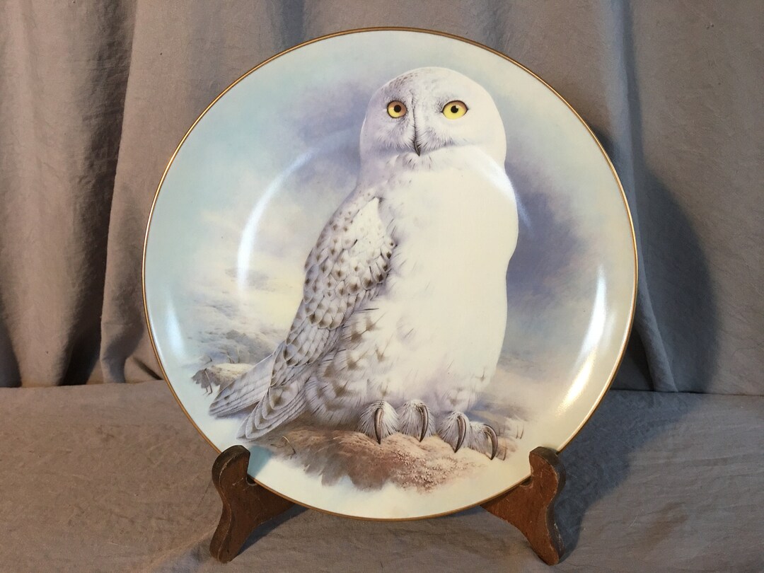 Vintage "the Snowey Olw" -raymond Watron Plate - Etsy