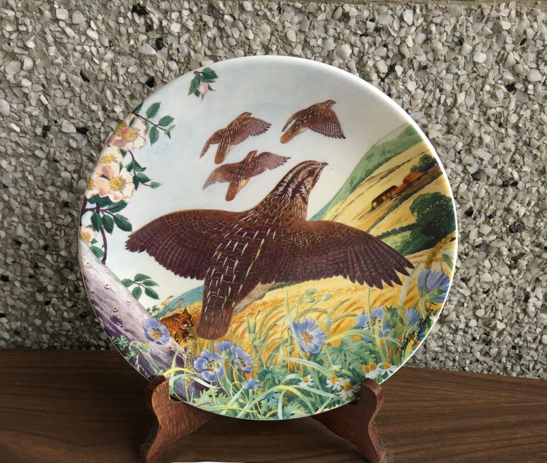 Quail on the Wing - Collector Plate by Derek Braithwaite - Etsy