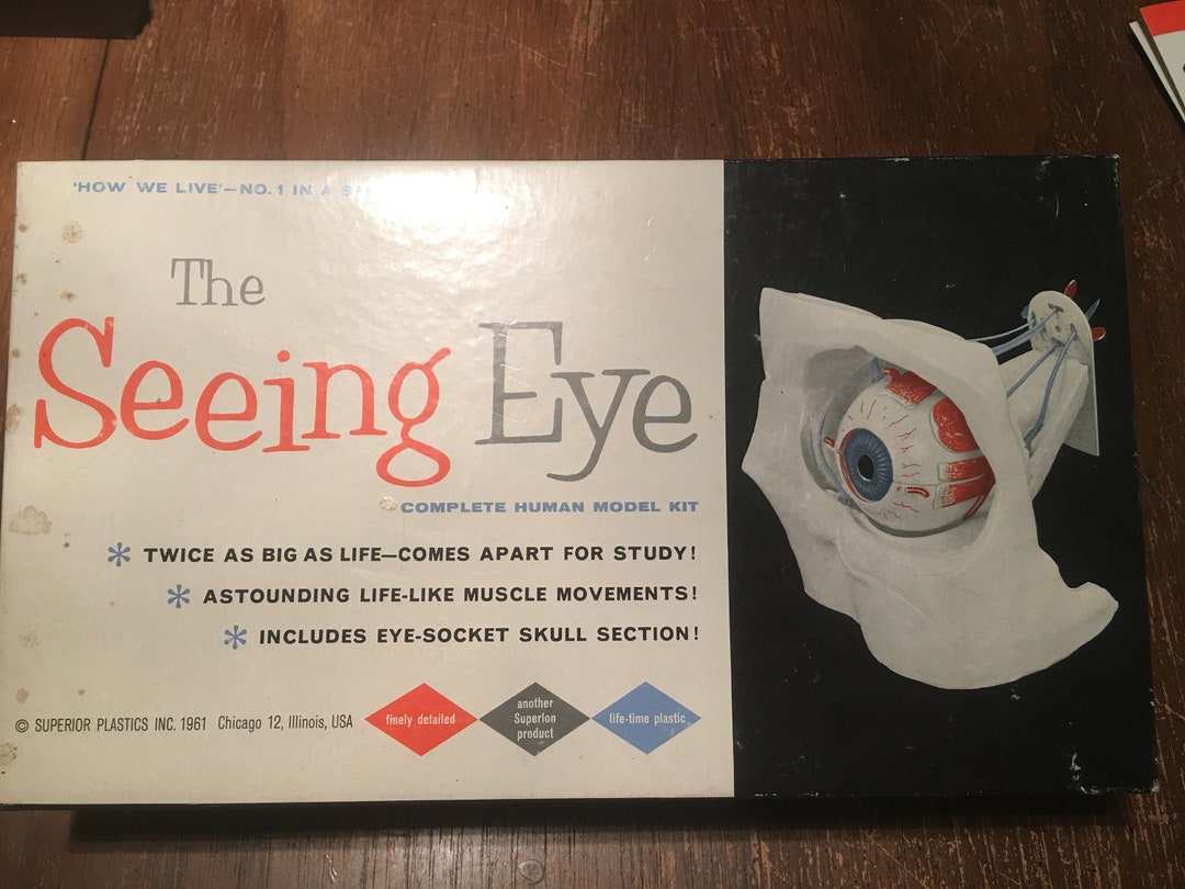 The Seeing Eye - Plastic Model Kit - 1961 - Etsy
