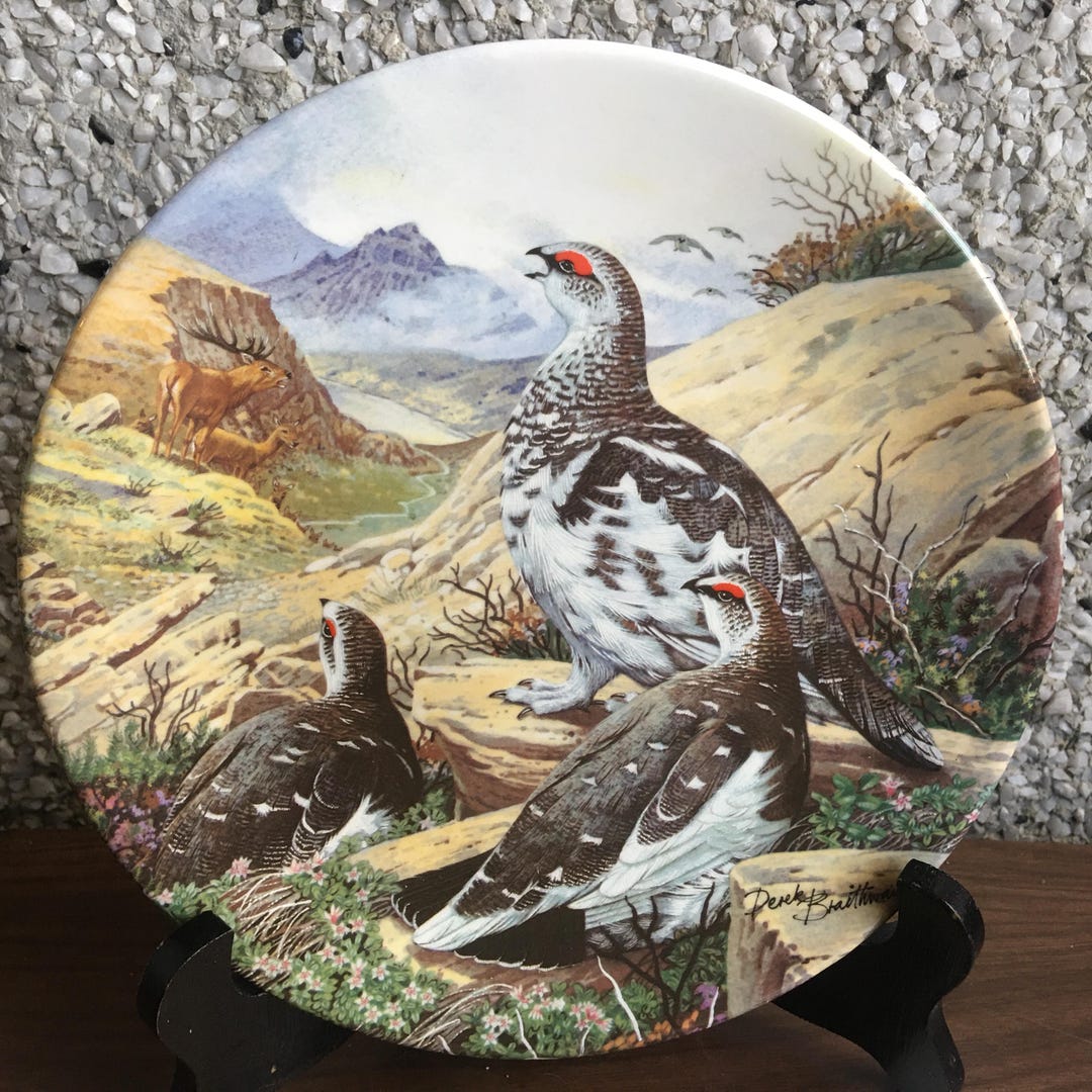 Flock of Ptarmigin - Collector Plate by Derek Braithwaite - Etsy