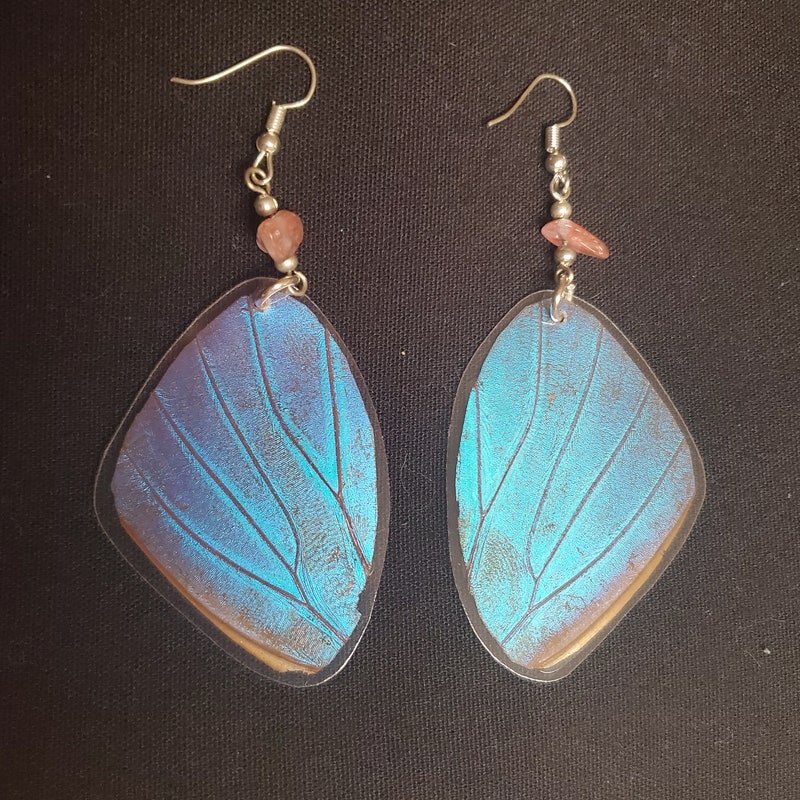 Real Butterfly Wing - Etsy