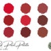 Reds - Benjamin Moore Paint Palette - Paint Color Schemes for Interior ...