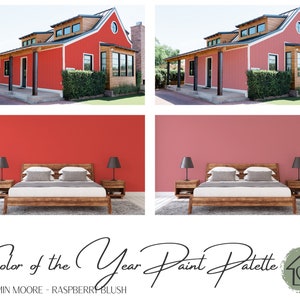 Color of the Year Raspberry Blush - Benjamin Moore Paint Palette ...