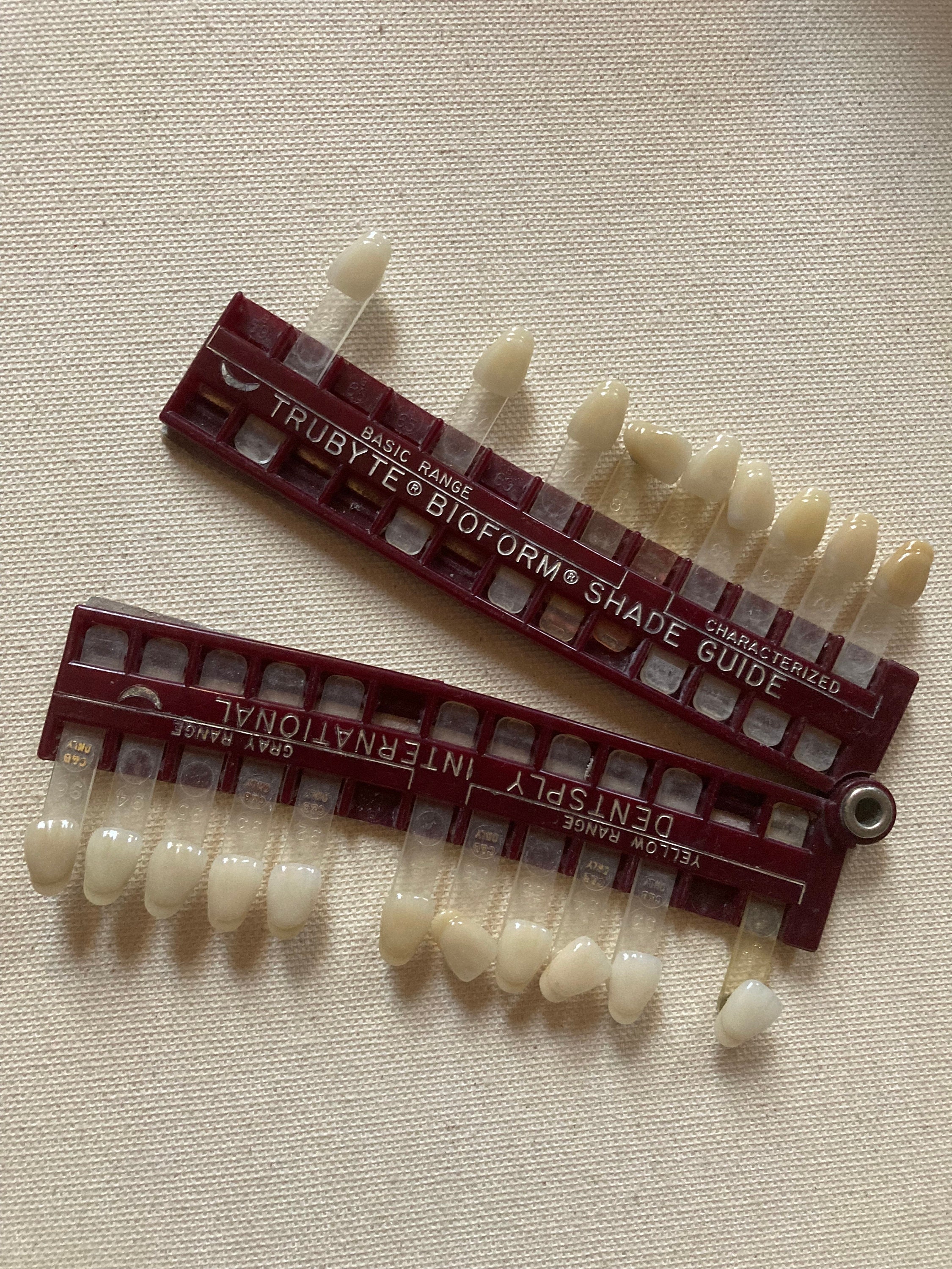 Vintage Dental Temporary Teeth Sets - Etsy