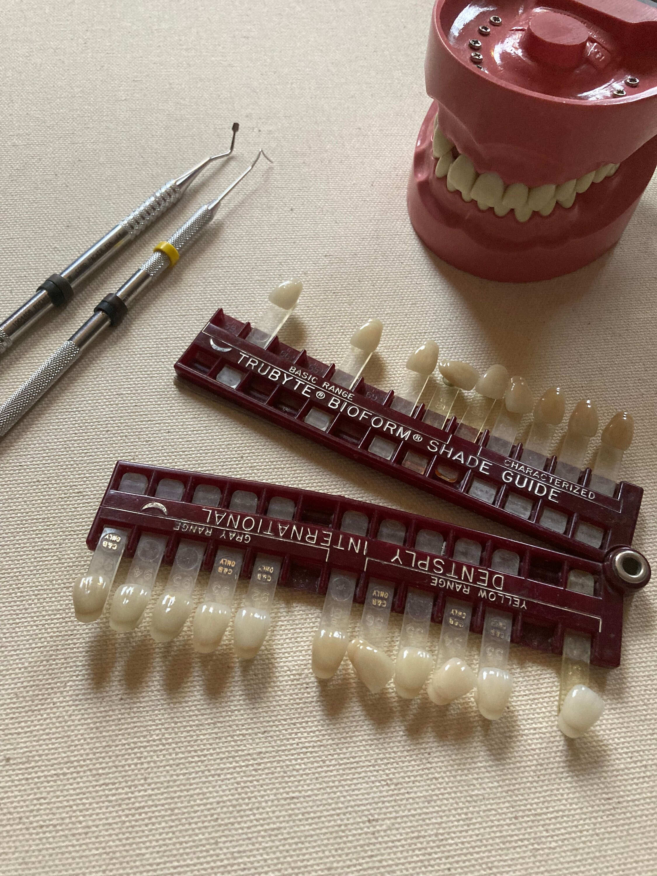 Vintage Dental Temporary Teeth Sets - Etsy