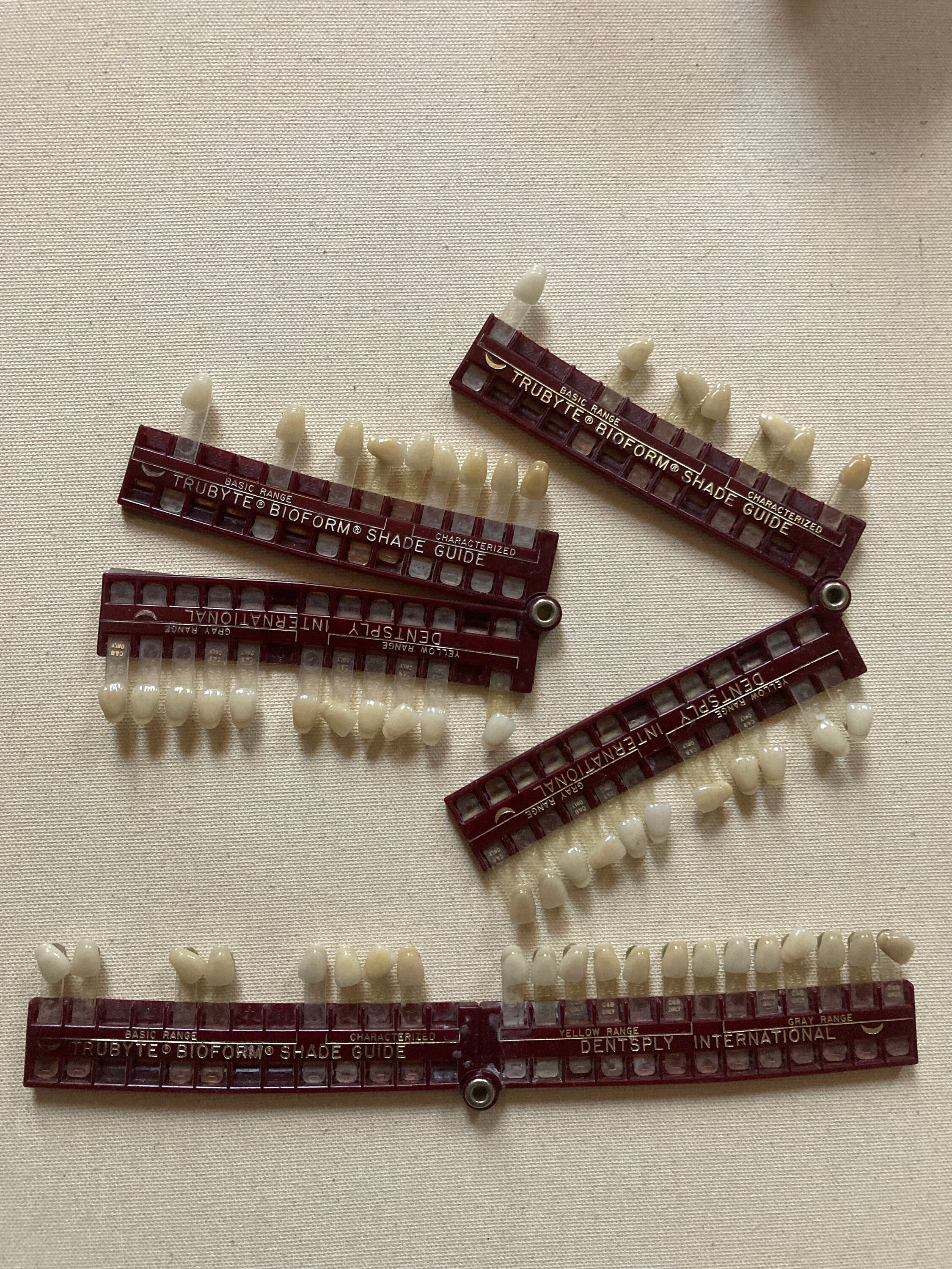 Vintage Dental Temporary Teeth Sets - Etsy