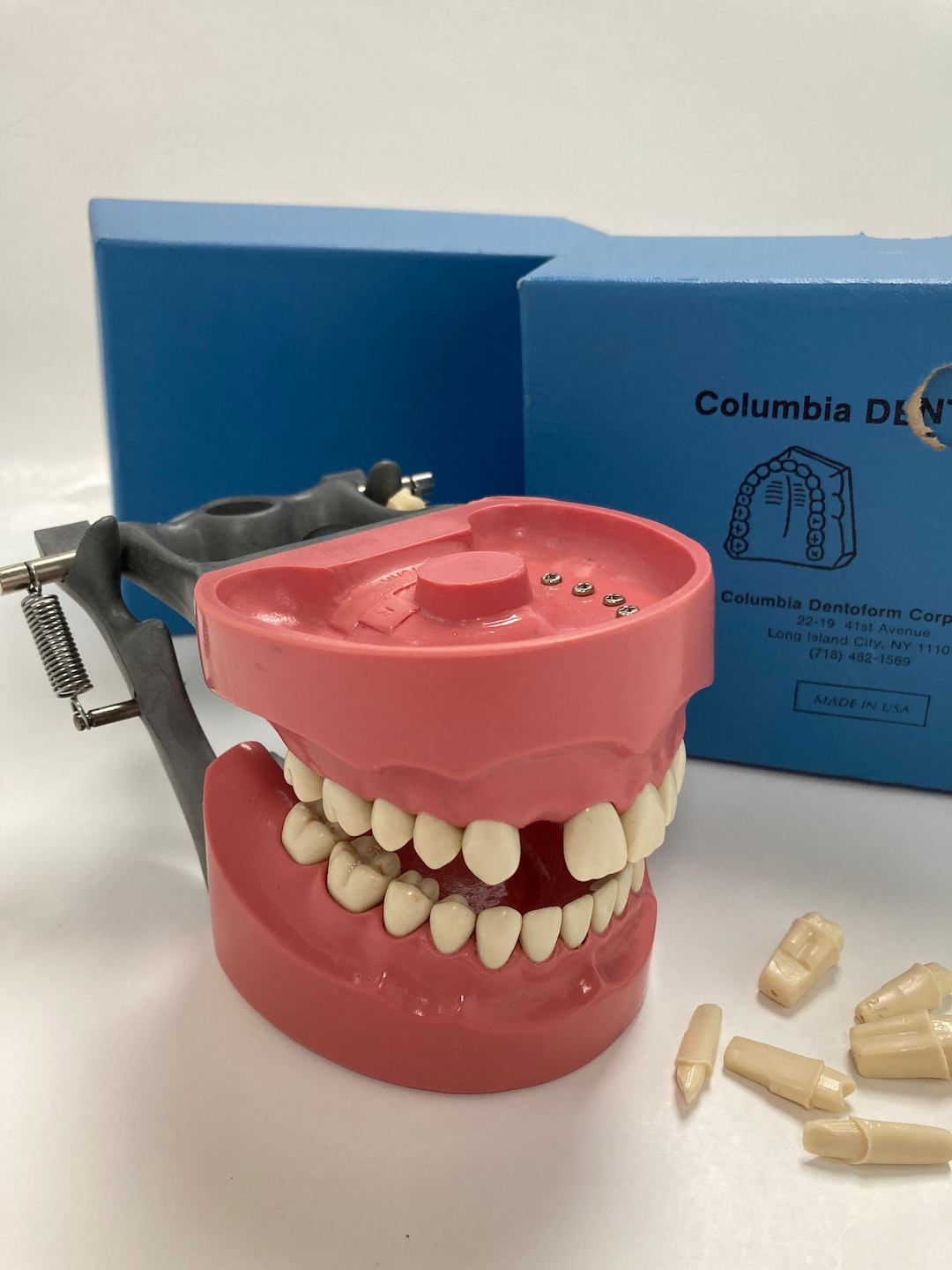 Vintage Dental Models and Partial Dentures - Etsy