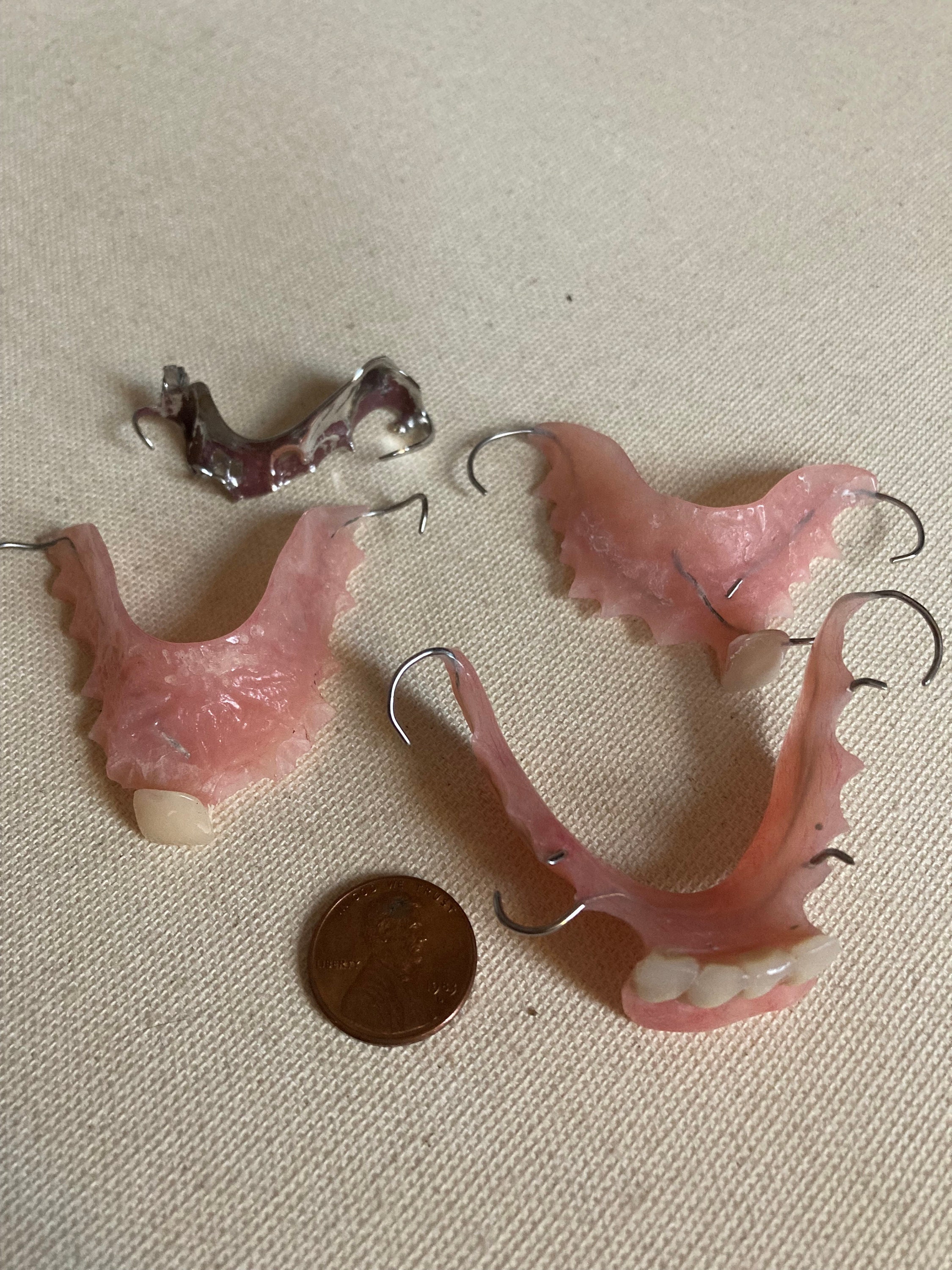 Vintage Dental Models and Partial Dentures - Etsy